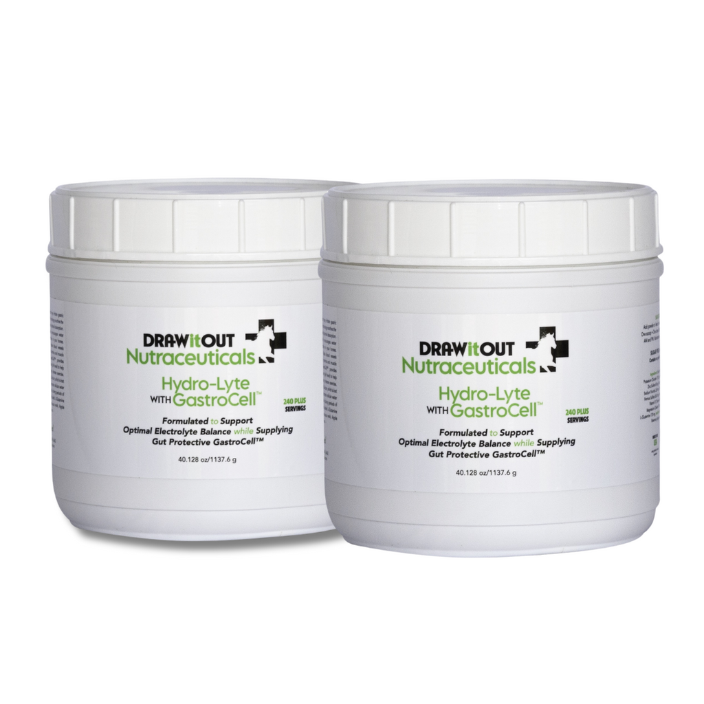 Complete Equine Hydration Bundle – Electrolytes + Gut Support (2 Tubs ...